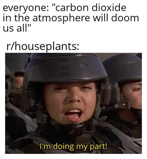 Yes R Houseplants