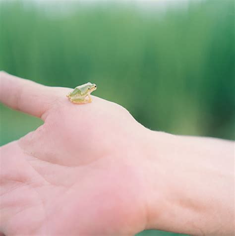 Japanese Photographer Rinko Kawauchi Is The Recipient Of The 2023 Sony