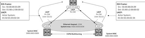 The Network Times EVPN ESI Multihoming Part I EVPN Ethernet Segment