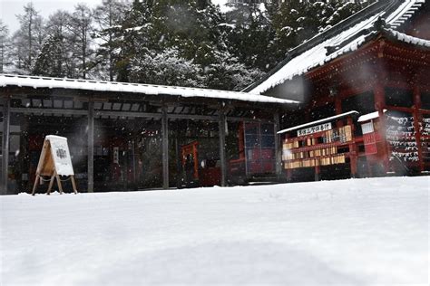 宇都宮で初雪を観測、平年より10日早い 奥日光など県北で積雪も【動画】47news（よんななニュース）：47都道府県52参加新聞社と共同通信