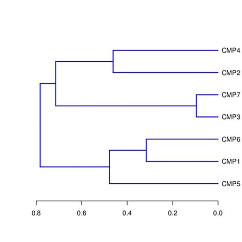 hierarchical clustering result download scientific diagram