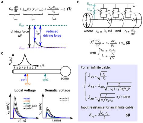 Theoretical Basis For Sublinear Summation Within Passive Dendrites A