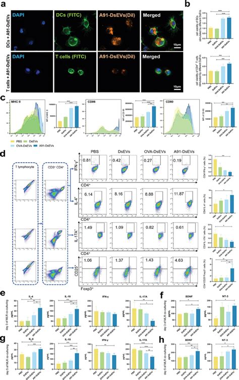A91‐dsevs Internalized By Dcs And Cd4⁺ T Cells Increased The Download Scientific Diagram