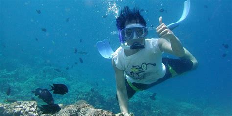 Top 12 Best Things To Do In Goa 2024 With Photos
