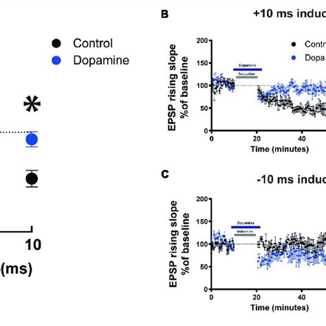 Effect Of Dopamine On Epsp Rising Slope Following Stdp Induction In