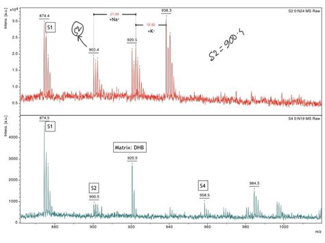 110 Questions With Answers In Oligomerization Scientific Method