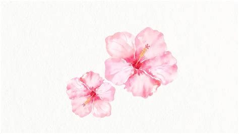 10 Cute Laptop Wallpaper Ideas Cute Laptop Wallpaper Laptop