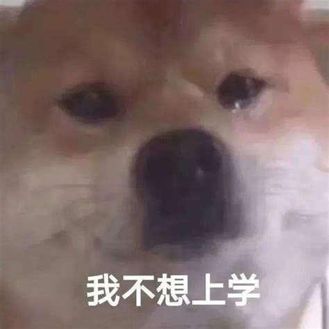 假期后返校如何适应校园生活？专家妙招教你“倒时差”高中高一长假