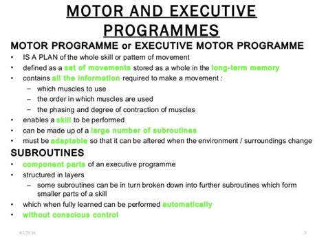 Motor Programmes