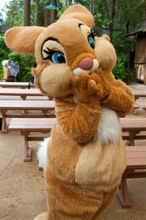 Miss Bunny At Disney Character Central Disney World Characters