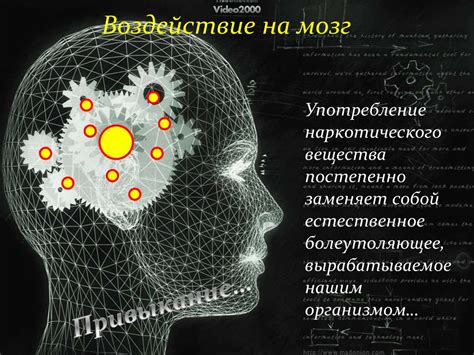 Наркомания - online presentation