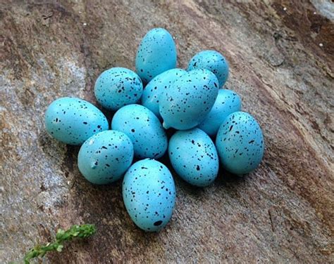 Decorative Bird Eggs 12 Blue Speckled Eggs Floral Supply Craft Supply