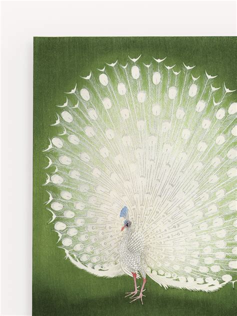 Quadro Ohara Koson Peacock Stickdecor Realize Your Imagination