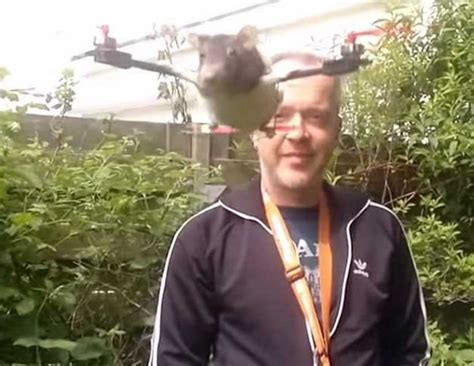 It All Started With A Dead Cat Drone Now A Taxidermy Drone Company