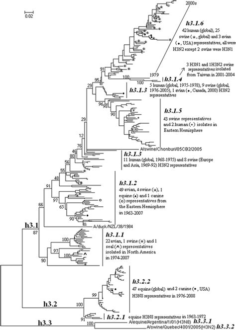 The Panorama Phylogenetic Tree Of Subtype H3 Influenza Virus Based On