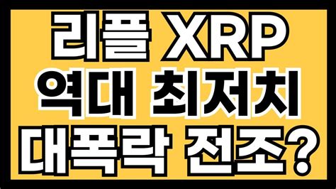리플 언제 대피하셔야 될지 모릅니다 Youtube