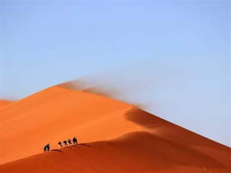 컴퓨터 바이러스 백신 프로그램 추천 오인트먼트 인사이트