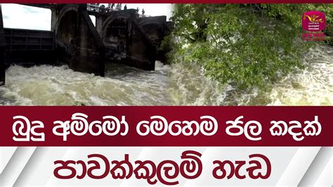 බුදු අම්මෝ මෙහෙම ජල කදක් පාවක්කුලම් හැඩ Rupavahininews Youtube