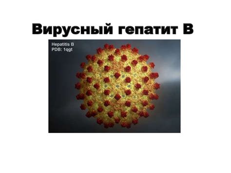 Вирусный гепатит А Вирусный гепатит В Вирусный гепатит С