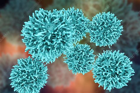 Thyroid Cancer Cells Illustration Stock Image F0202683 Science