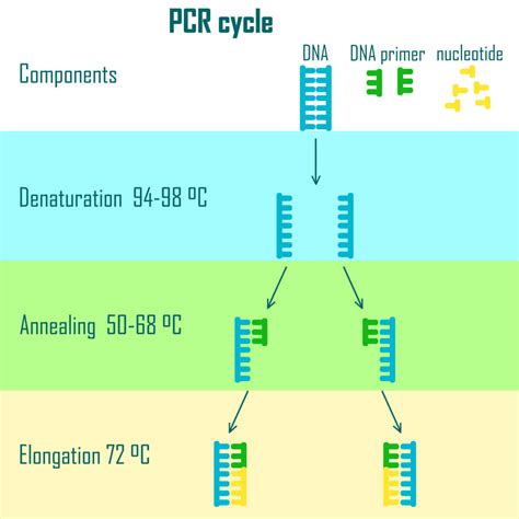 Pcr 東京・ミネルバクリニック