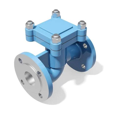 Blue Pn 40 Check Valve At Best Price In Ahmedabad Jakflow Global