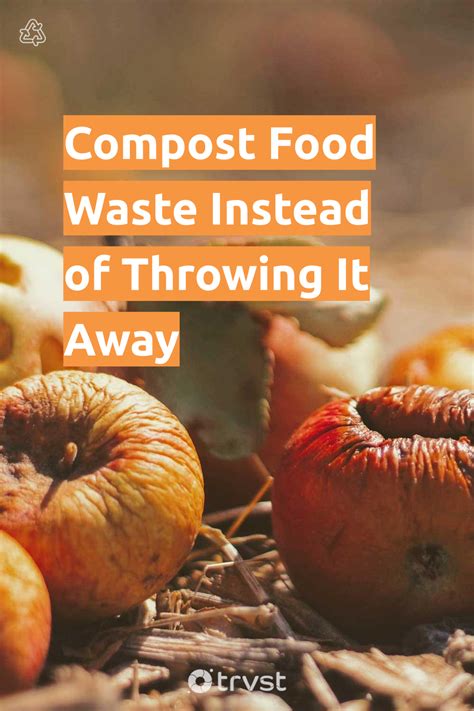 Compost Food Waste Instead Of Throwing It Away Artofit