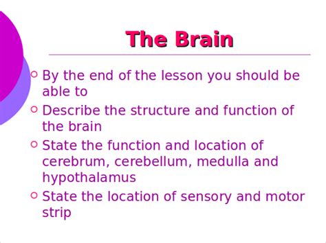 Free PowerPoint Templates Brain
