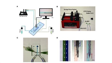 Bi Directional Dual Flow Rootchip Bi Dfrc Imaging Set Up A
