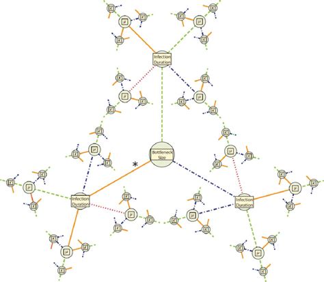 Representations Of The Total Parameter Space For The Examined Models