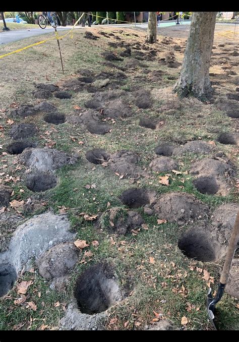 Maybe They Should Have Bought A Metal Detector Rmetaldetecting