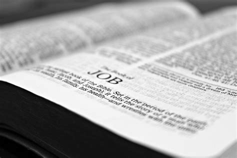 NUESTRAS DOCTRINAS