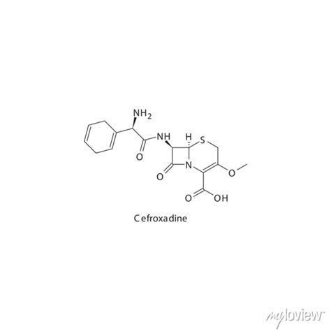 Cefroxadine Flat Skeletal Molecular Structure 1st Generation • Wall