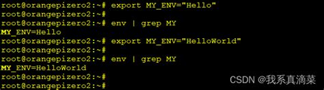 Linux应用 环境变量的增删查改linux删除环境变量 Csdn博客