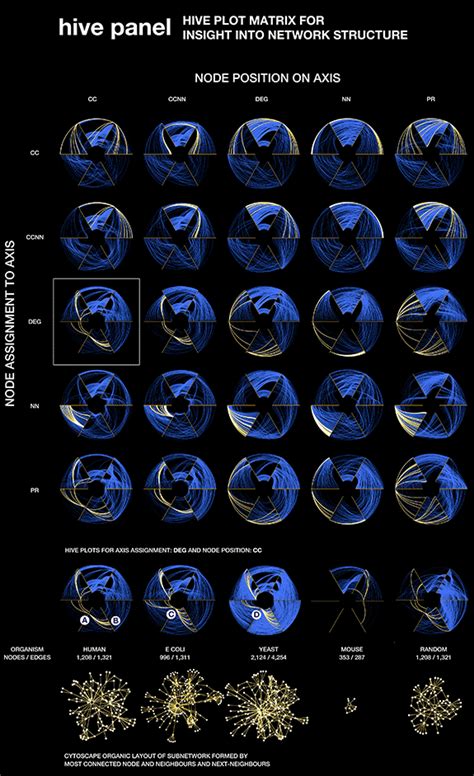 Data Visualization Connections Between Groups In A Hive Plot Cross