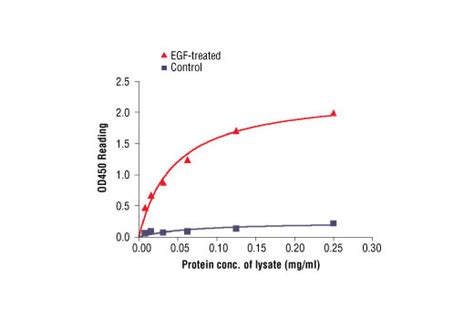 Pathscan® Phospho Egf Receptor Tyr1068 Sandwich Elisa Kit Cell
