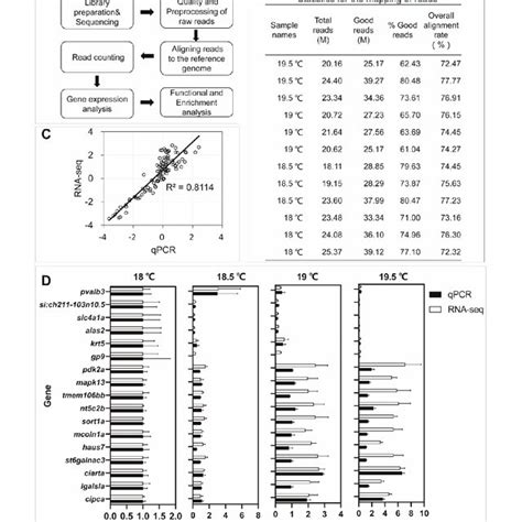 the workflow of rna−seq data analysis a main steps of rna−seq data