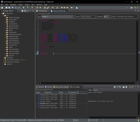 이클립스에서 오라클 찍먹