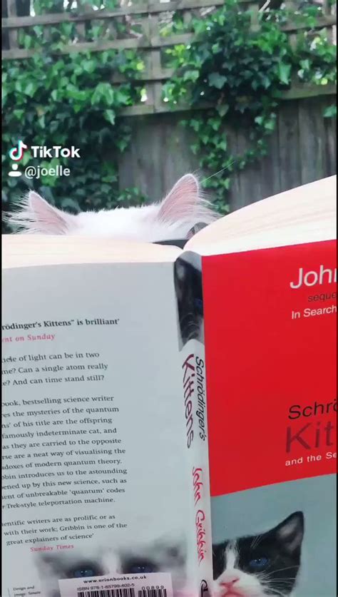 Joelle Joelle Official Website Of Actress Singer Songwriter And Musician