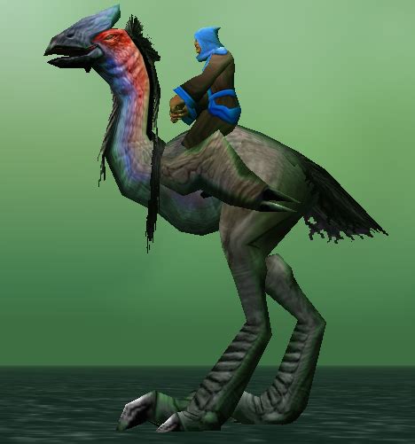 Token Shop Mounts Turtle Wow