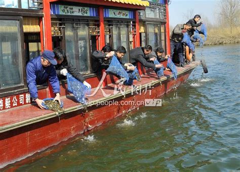 山西万荣：30万只大闸蟹苗投放湿地自然保护区 人民图片网