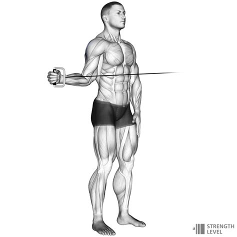 Cable External Rotation Standards For Men And Women Lb Strength Level