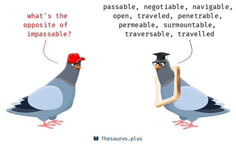 Impassable Synonyms And Impassable Antonyms Similar And Opposite Words