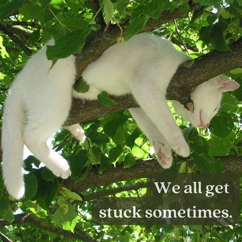 Are You Stuck Contact Me For Help Claudia Aronowitz Coaching Posted