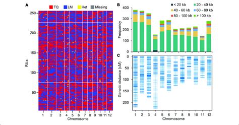 Resequencing Ril Population And Genetic Linkage Map Construction A Download Scientific