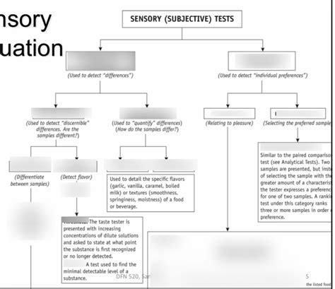 Midterm Diagram Quizlet