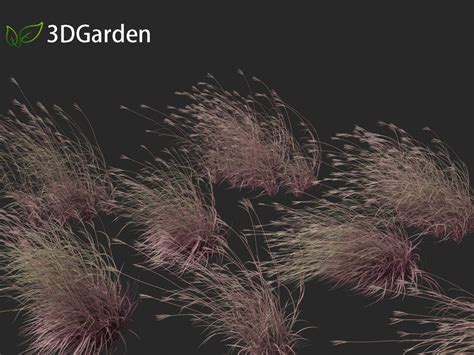 Andropogon Gerardii Big Bluestem Grass 02 Windy 3d Model 3dgardenplants