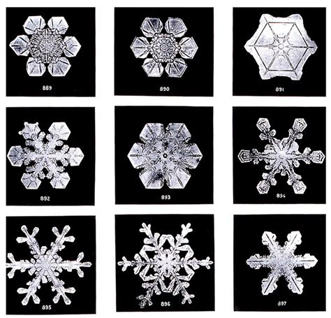 기후와 날씨 구름 속 얼음 결정에 수증기 붙어 만들어져 3000종 넘는 모양 있대요 프리미엄조선