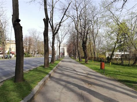 FOTO Cum arată Bucureștiul cu parcurile închise Buletin de București