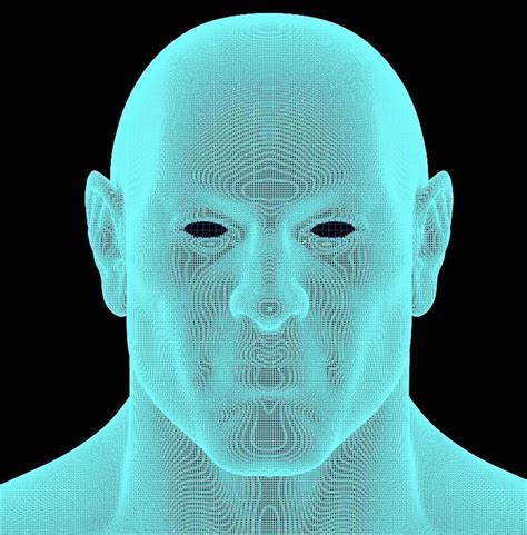 3d Sculpt Male Anatomy Exploration 3d Model Cgtrader